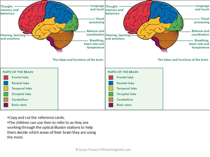 IB PYP SCIENCE UNIT OF INQUIRY HUMAN BODY SYSTEMS – PYP TEACHING TOOLS