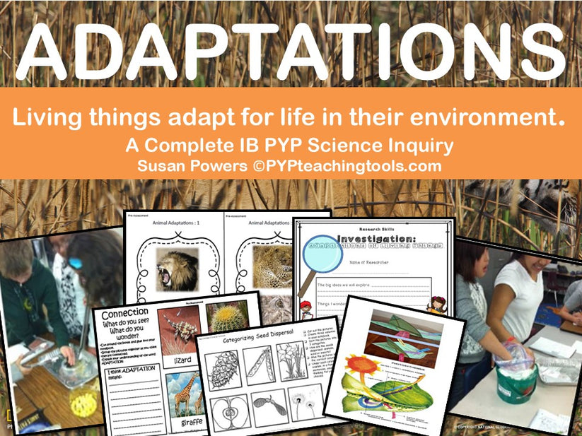 IB PYP Science Inquiry - Adaptations of Living Things – PYP TEACHING TOOLS