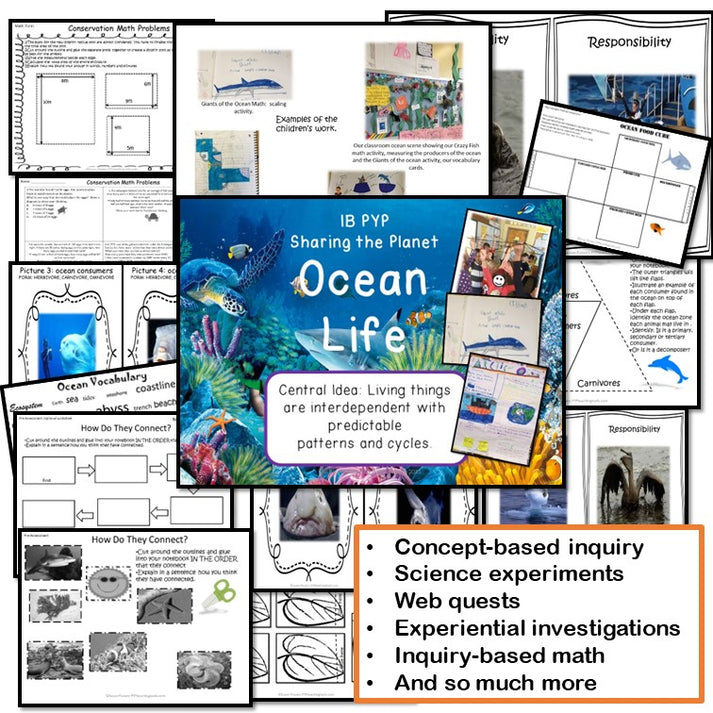 IB PYP Unit of Inquiry Ocean Habitat and Interdependence – PYP TEACHING ...