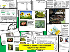 IB PYP Science Inquiry - Adaptations of Living Things – PYP TEACHING TOOLS