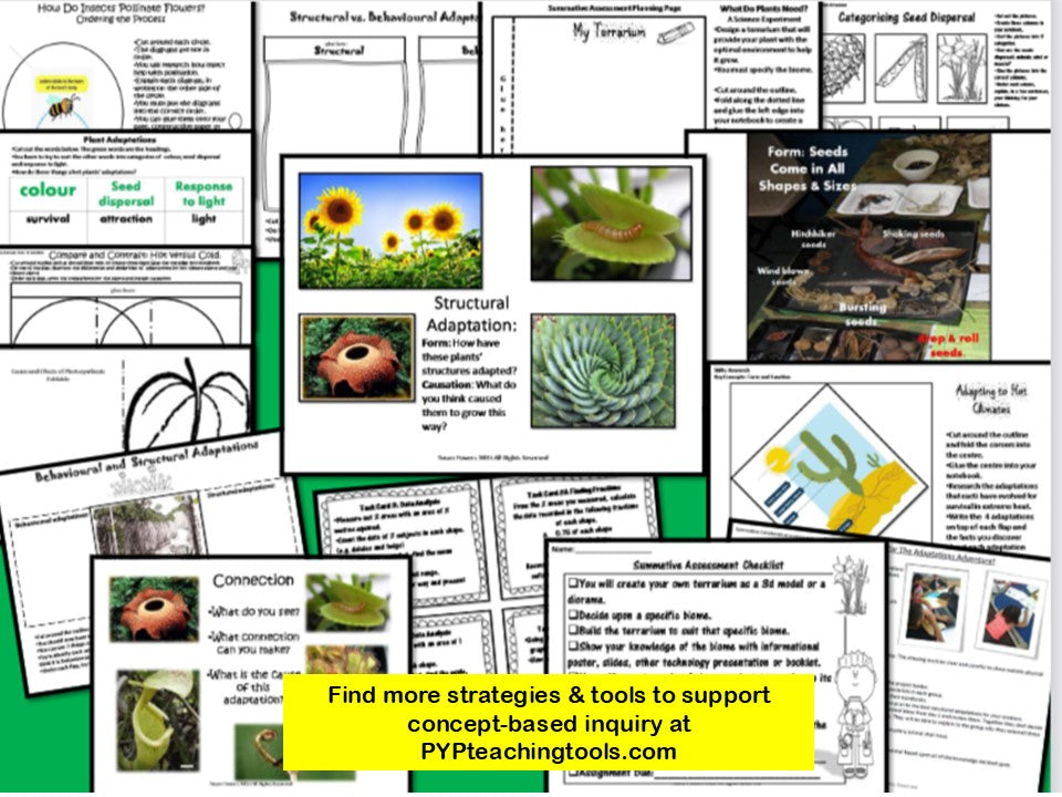 IB PYP Science Inquiry - Adaptations of Living Things – PYP TEACHING TOOLS