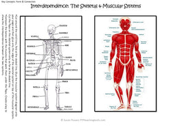 IB PYP SCIENCE UNIT OF INQUIRY HUMAN BODY SYSTEMS – PYP TEACHING TOOLS