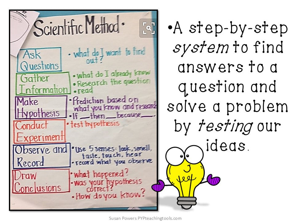 IB PYP Inquiry into Forces, Motion & Structure - How the World Works ...