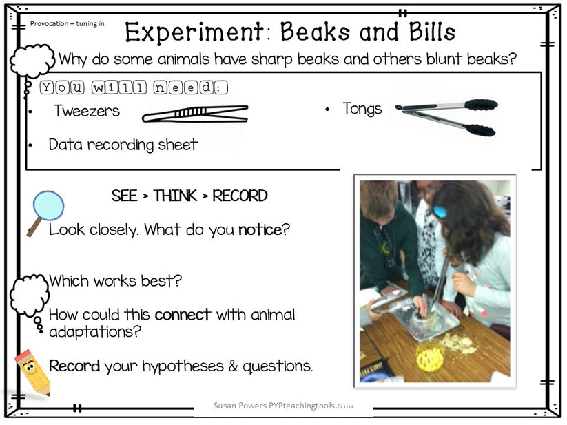 IB PYP Science Inquiry - Adaptations of Living Things – PYP TEACHING TOOLS